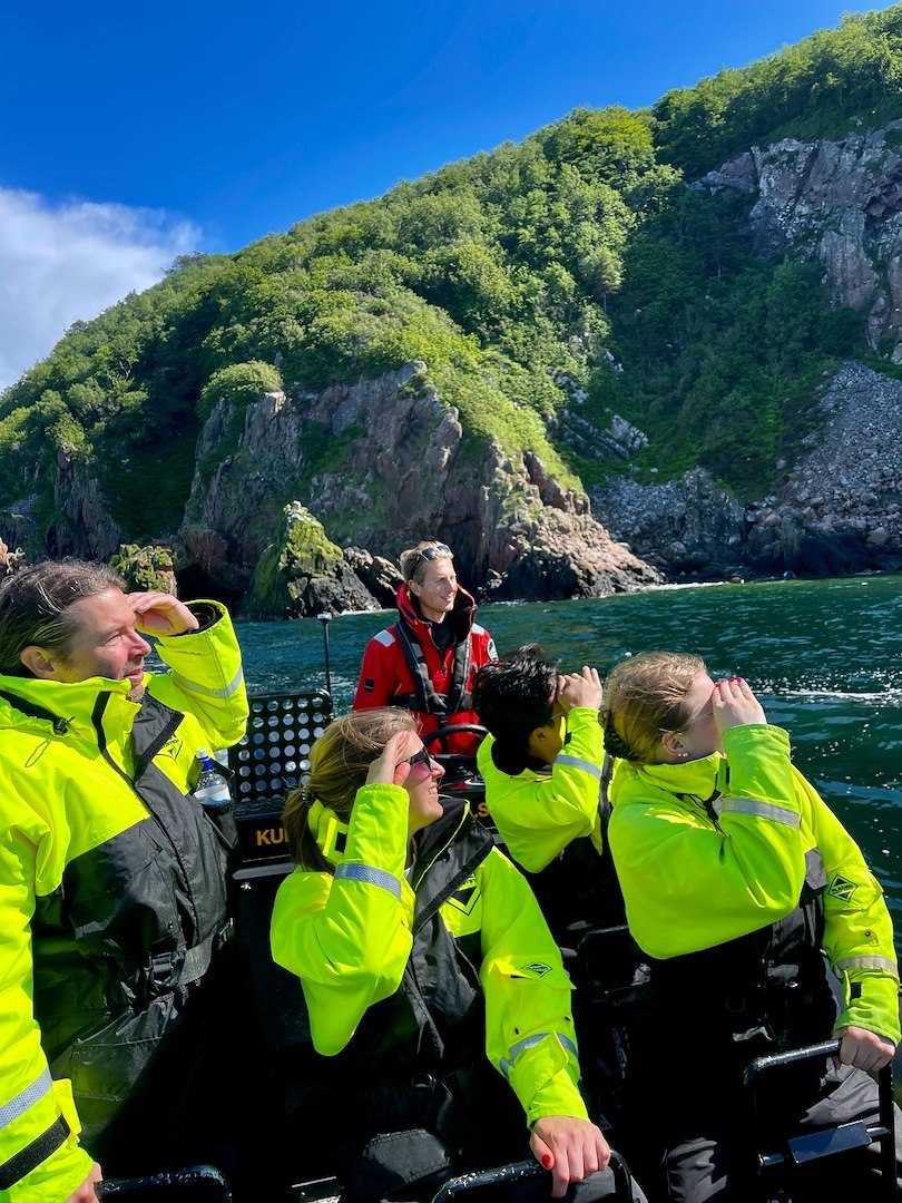 Äventyr på Kullaberg - Tumlarsafari i RIB-båt